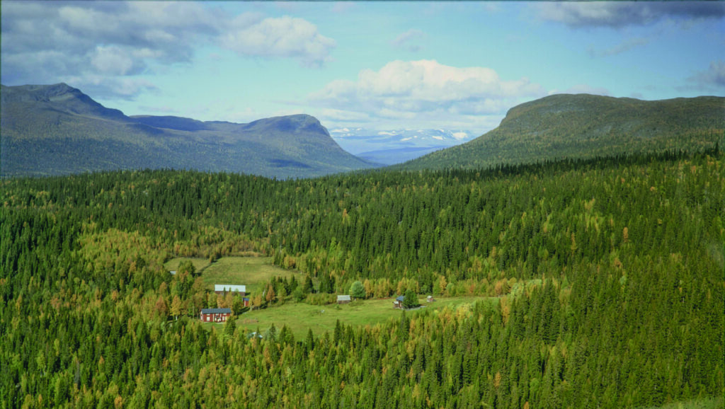 Så har landskap med fjällnära skog nyttjats och brukats över tid ...
